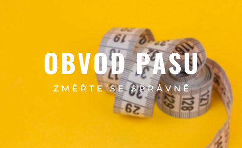 7+1 tip, jak si správně změřit obvod pasu a další míry | Modio.cz