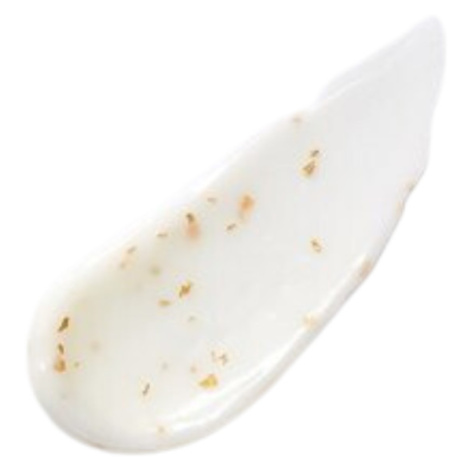 CHOGONGJIN - GEUM SUL CREAM - Revitalizační pleťový krém se zlatem 60 ...